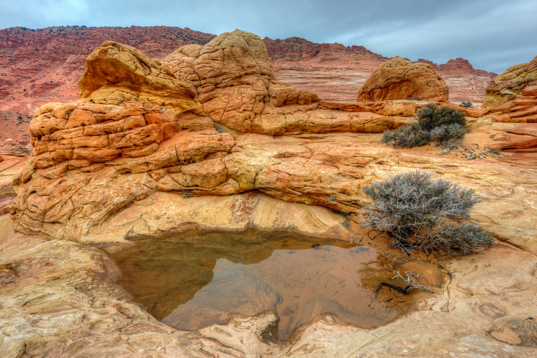 Water Pocket in North Coyote Buttes | North Coyote Buttes Arizona ...